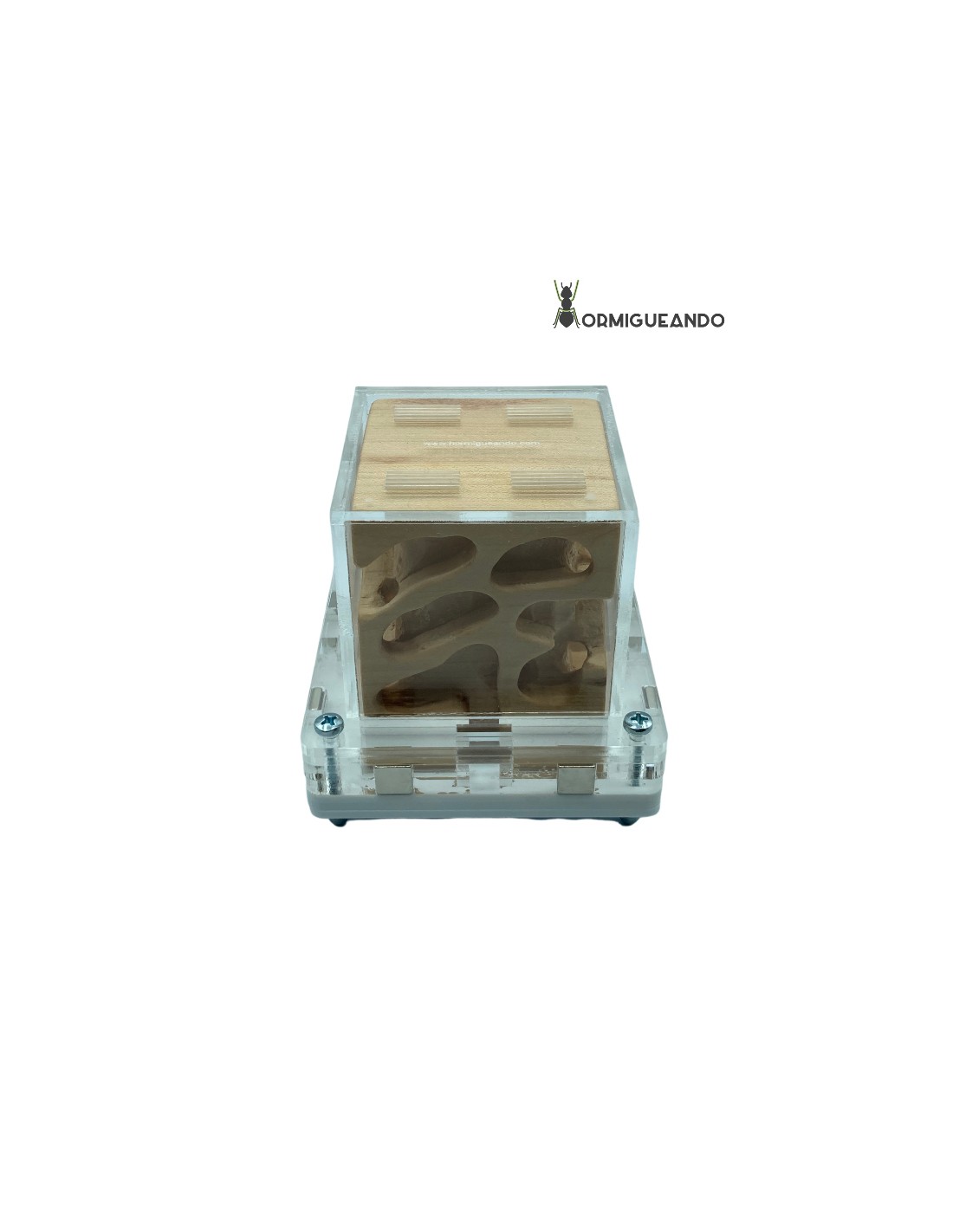 Antmagnet module 10x10 MAD-V