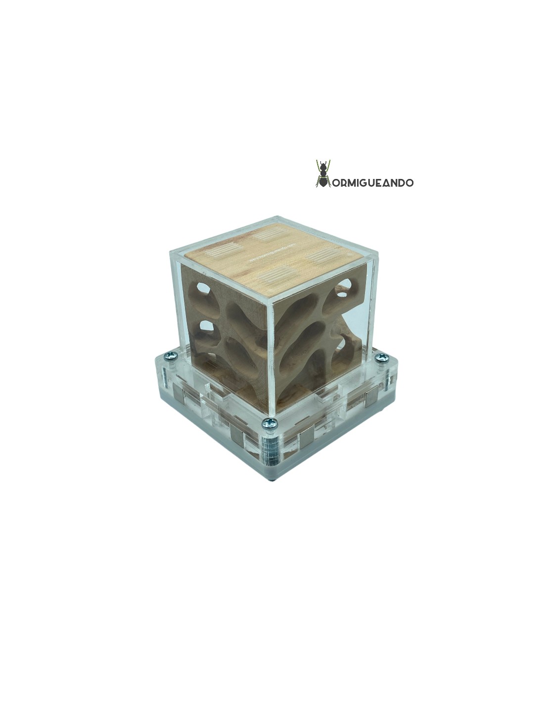 Antmagnet module 10x10 MAD-V