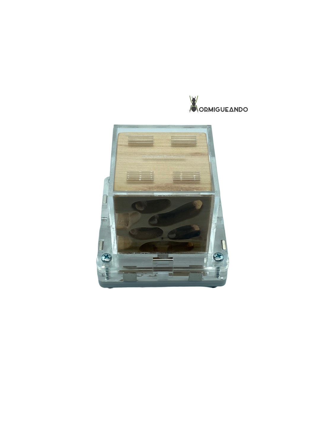 Antmagnet module 10x10 MAD-V