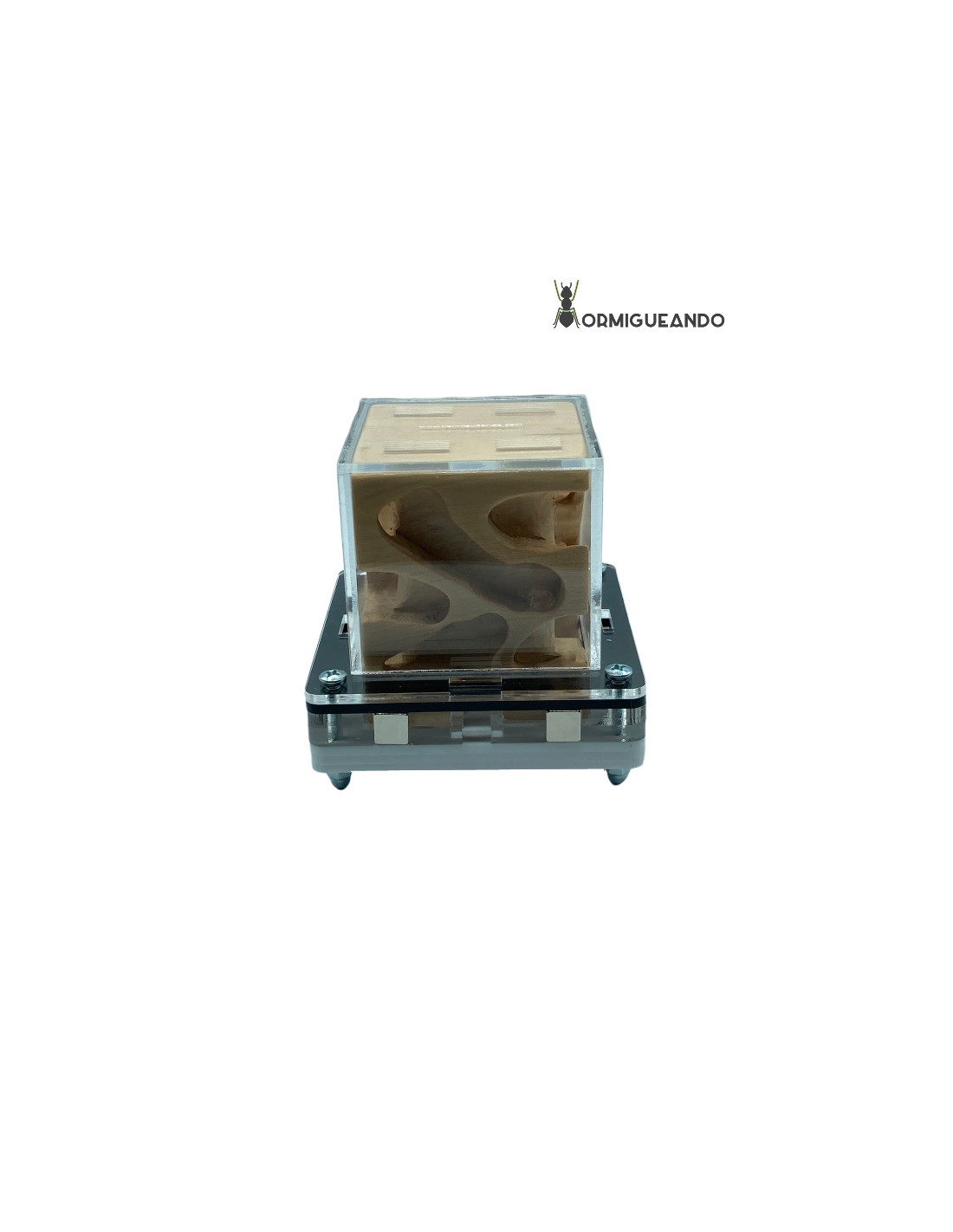 Antmagnet module 10x10 MAD-V