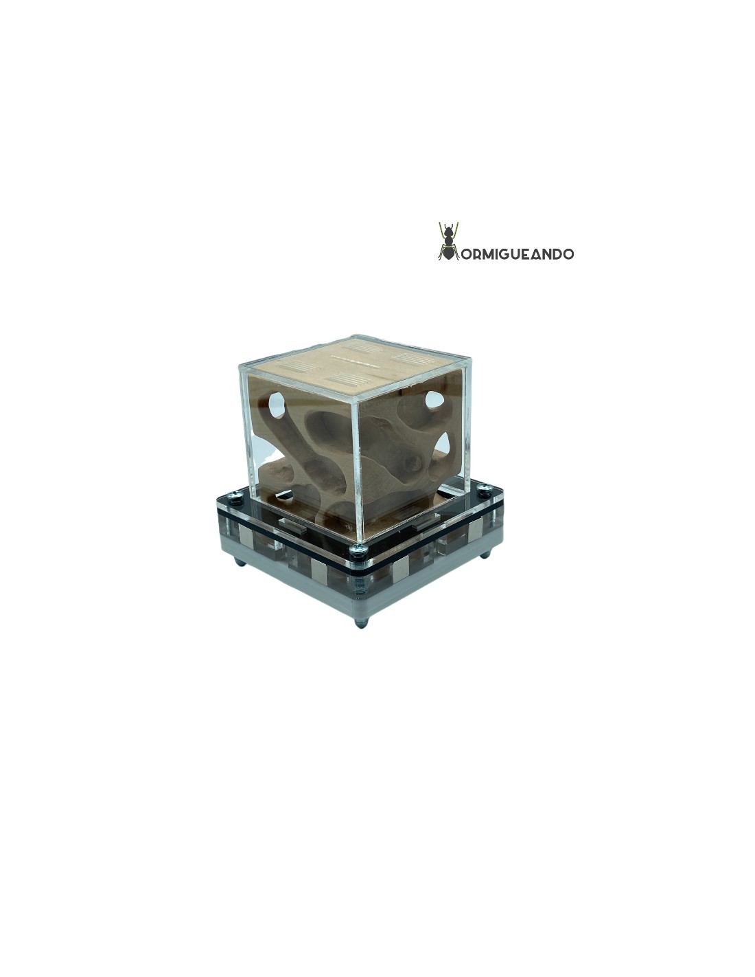 Antmagnet module 10x10 MAD-V
