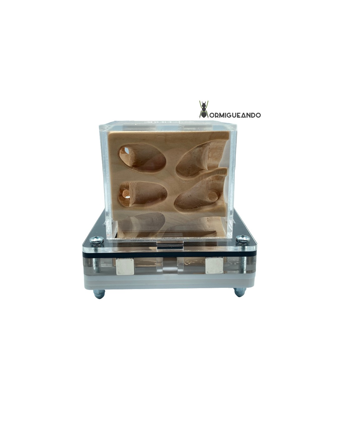 Antmagnet module 10x10 MAD-V