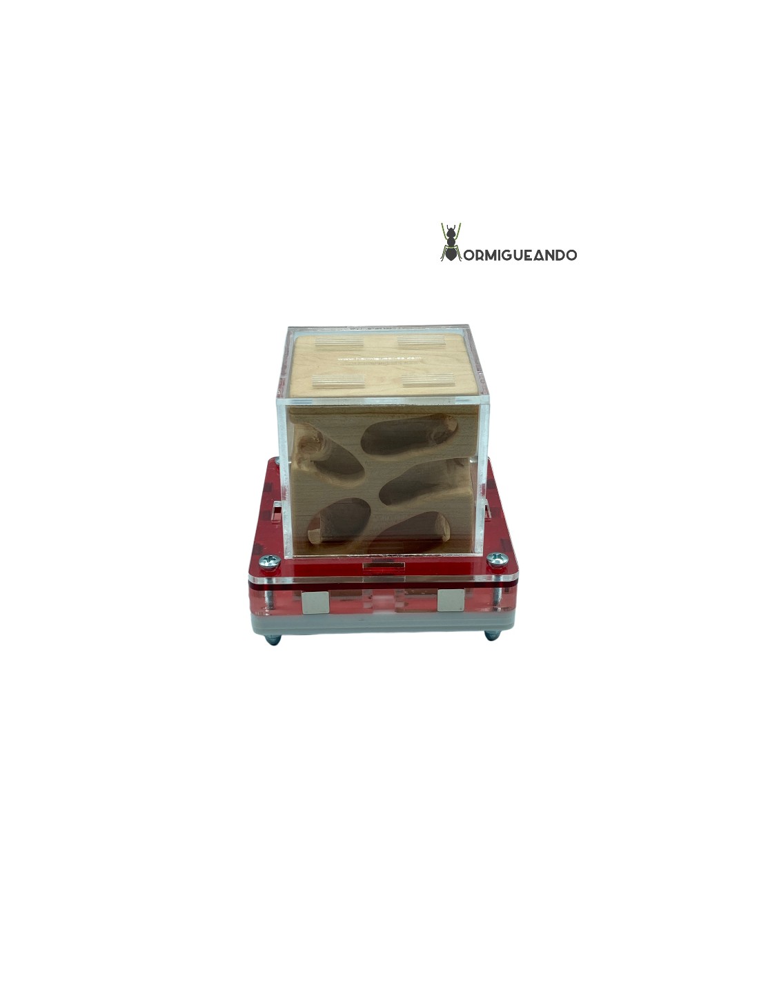 Antmagnet module 10x10 MAD-V