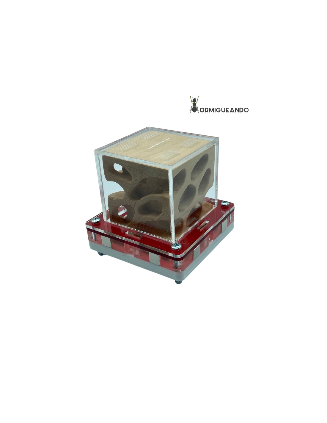 Antmagnet module 10x10 MAD-V